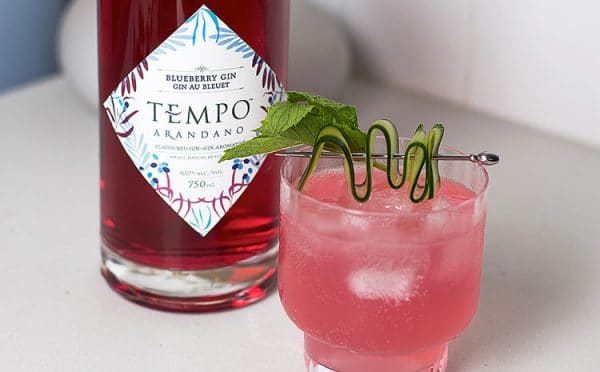 Tempo Craft Gin | The not-too-sweet, perfectly balanced gin cocktails.